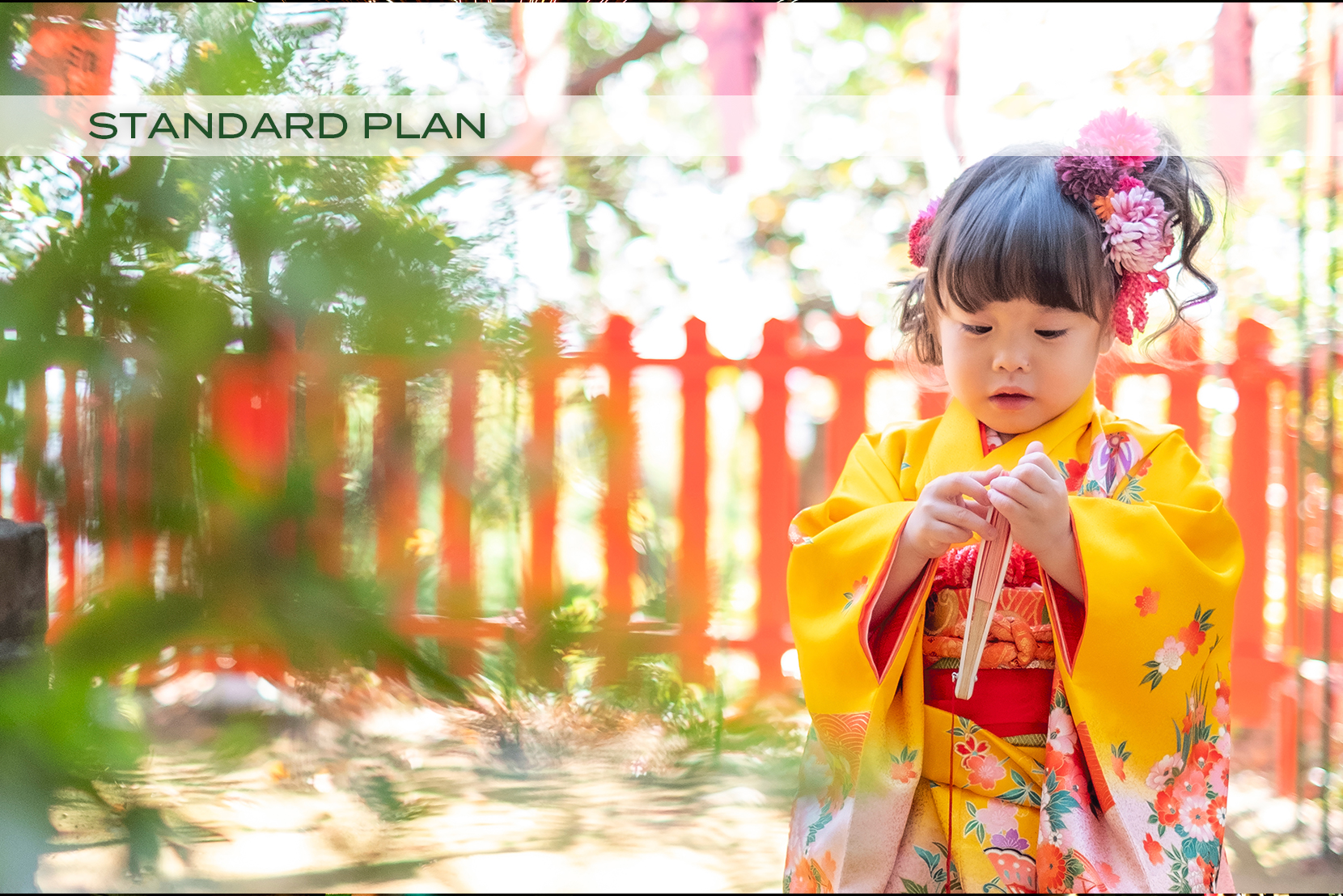 STANDARD PLAN｜KuRuMi Design ーくるみデザインー